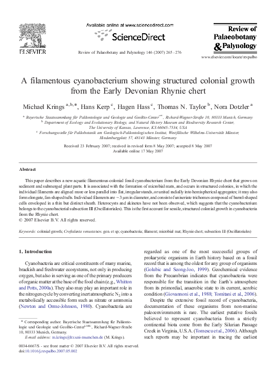 (PDF) A filamentous cyanobacterium showing structured colonial growth ...