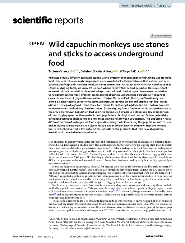 (PDF) Wild capuchin monkeys use stones and sticks to access underground ...