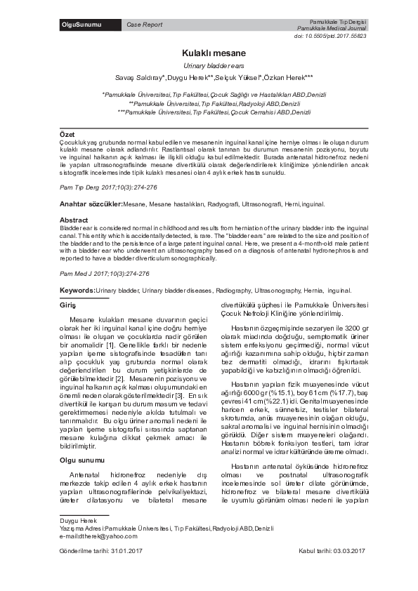 (PDF) Urinary bladder ears