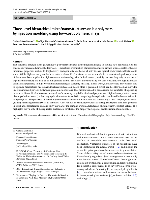 (PDF) Three-level hierarchical micro/nanostructures on biopolymers by injection moulding using ...