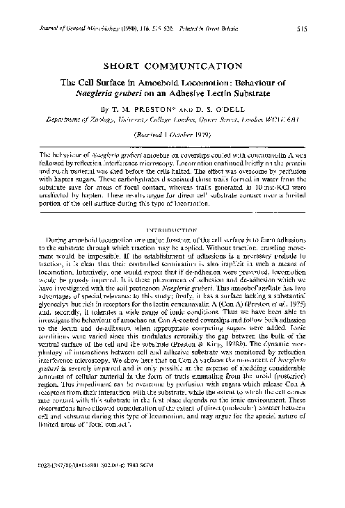 (PDF) The Cell Surface in Amoeboid Locomotion: Behaviour of Naegleria ...