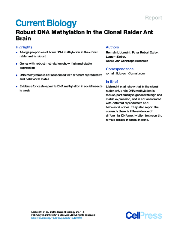 (PDF) Robust DNA Methylation in the Clonal Raider Ant Brain