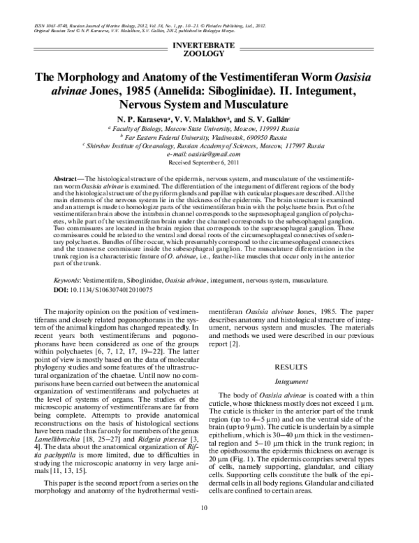 (PDF) The morphology and anatomy of the vestimentiferan worm Oasisia ...
