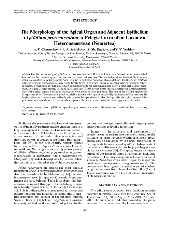 (PDF) The morphology of the apical organ and adjacent epithelium of ...