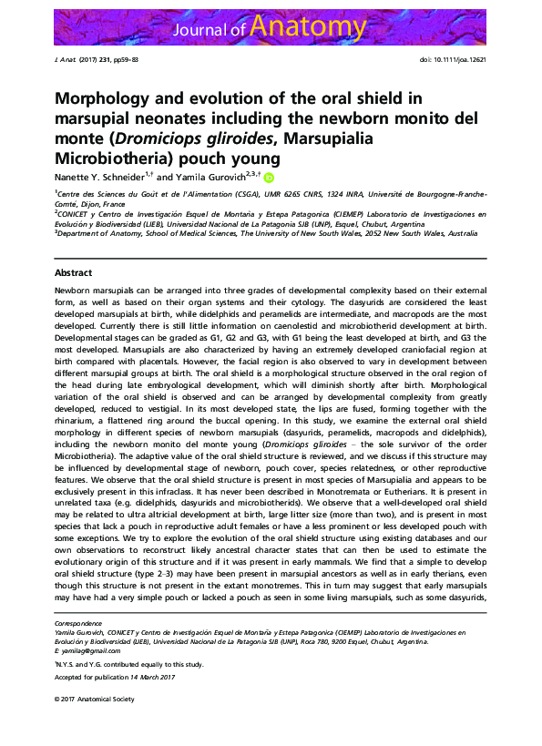 (PDF) Morphology and evolution of the oral shield in marsupial neonates ...