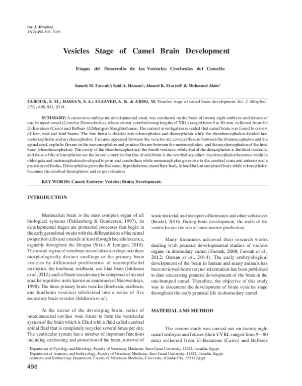 (PDF) Vesicles Stage of Camel Brain Development
