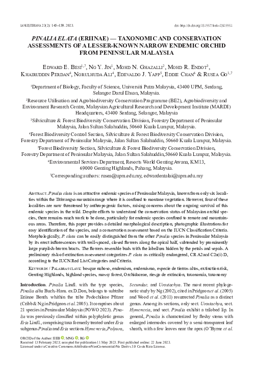 (PDF) Pinalia elata (Eriinae) — taxonomic and conservation assessments ...