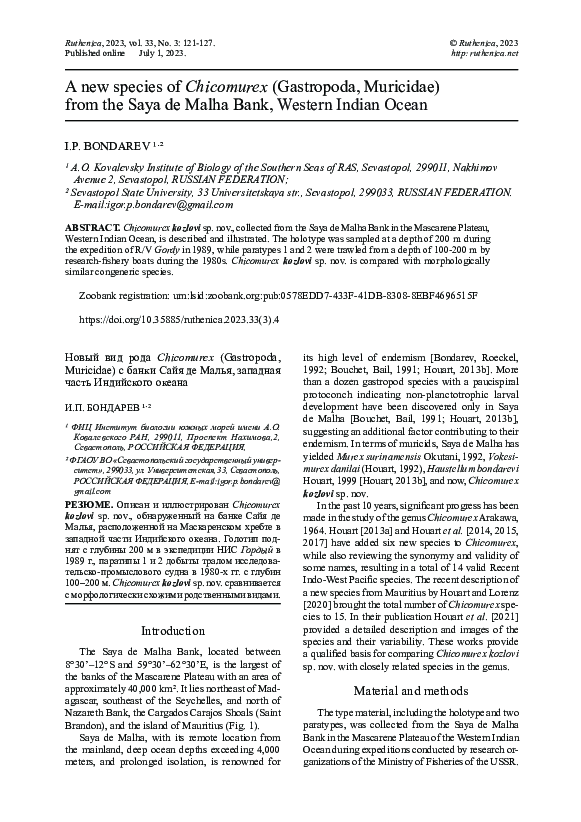 (PDF) A new species of Chicomurex (Gastropoda, Muricidae) from the Saya ...