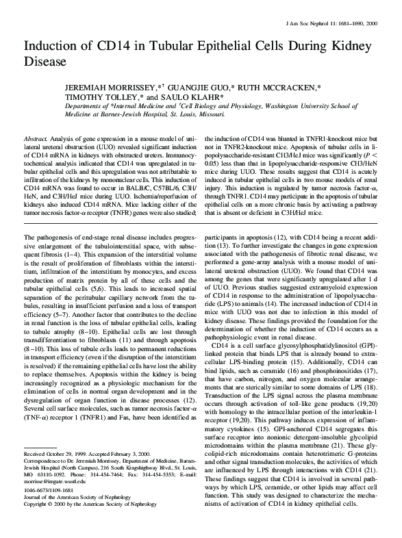 (PDF) Induction of CD14 in Tubular Epithelial Cells During Kidney Disease