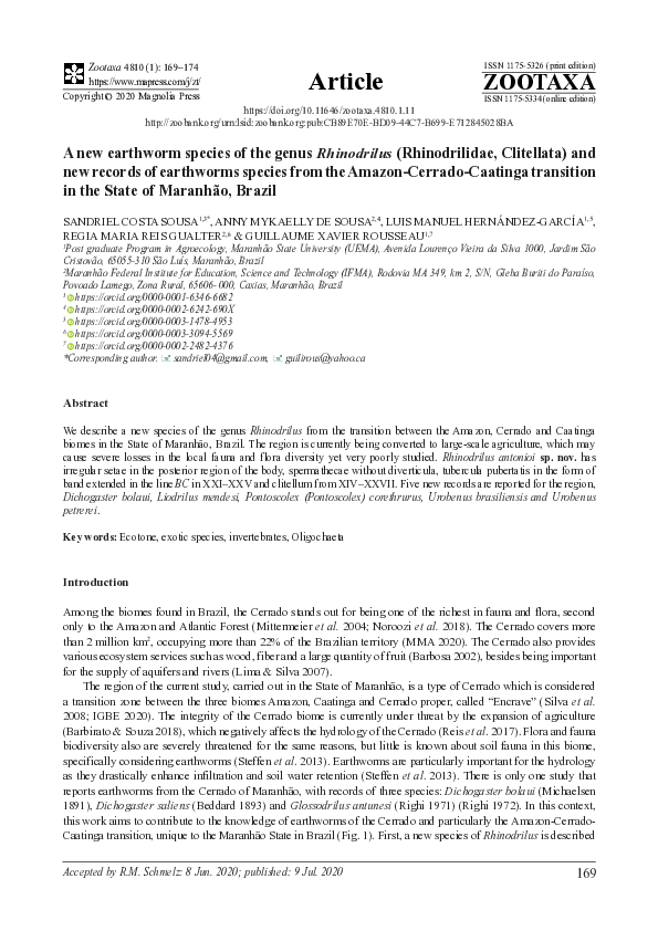 (PDF) A new earthworm species of the genus Rhinodrilus (Rhinodrilidae ...