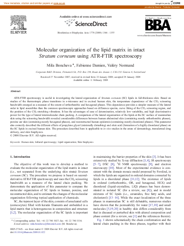 (PDF) Molecular organization of the lipid matrix in intact Stratum ...