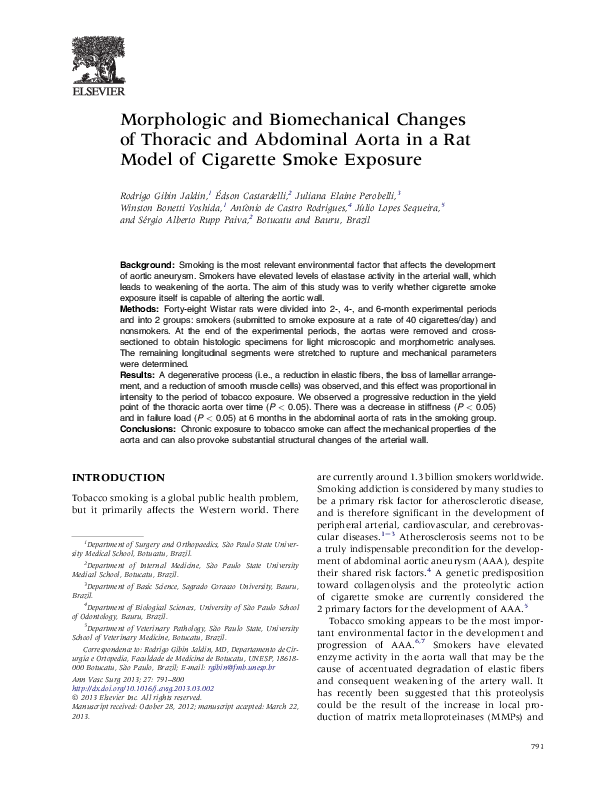 (PDF) Morphologic and Biomechanical Changes of Thoracic and Abdominal ...