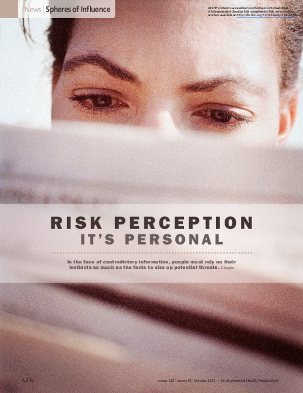(PDF) Risk Perception: It’s Personal