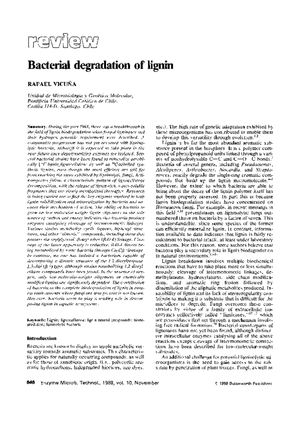 (PDF) Bacterial degradation of lignin
