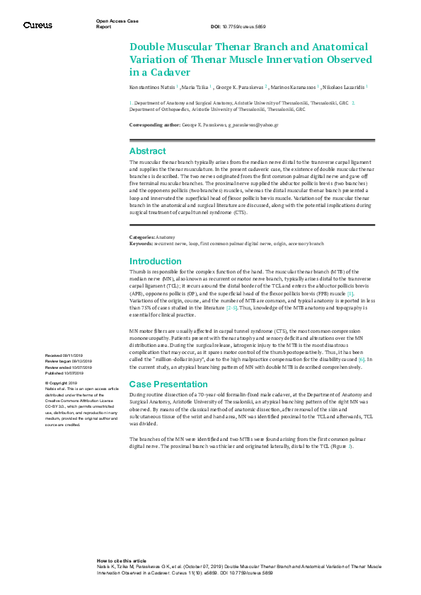 (PDF) Double Muscular Thenar Branch and Anatomical Variation of Thenar ...
