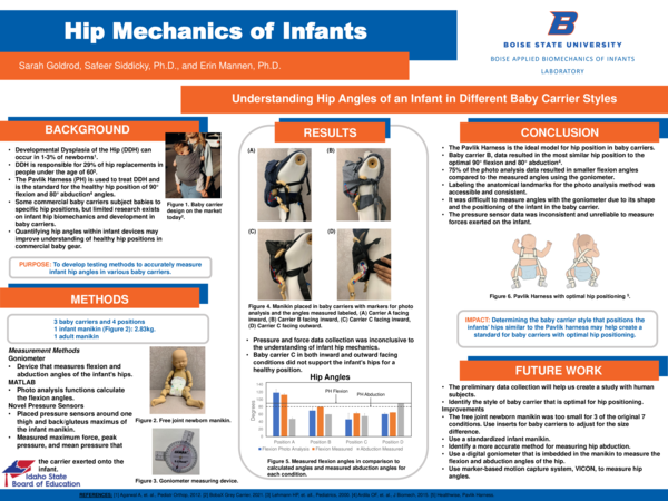 (PDF) Hip Mechanics of Infants: Understanding Hip Angles of an Infant ...