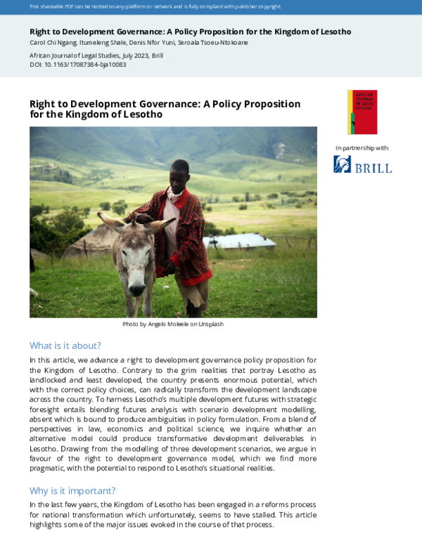 (PDF) Right to Development Governance: A Policy Proposition for the ...