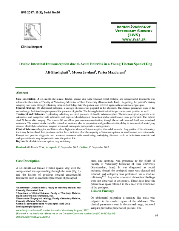 (PDF) Double Intestinal Intussusception due to Acute Enteritis in a ...