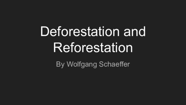 (PDF) Deforestation and Reforestation