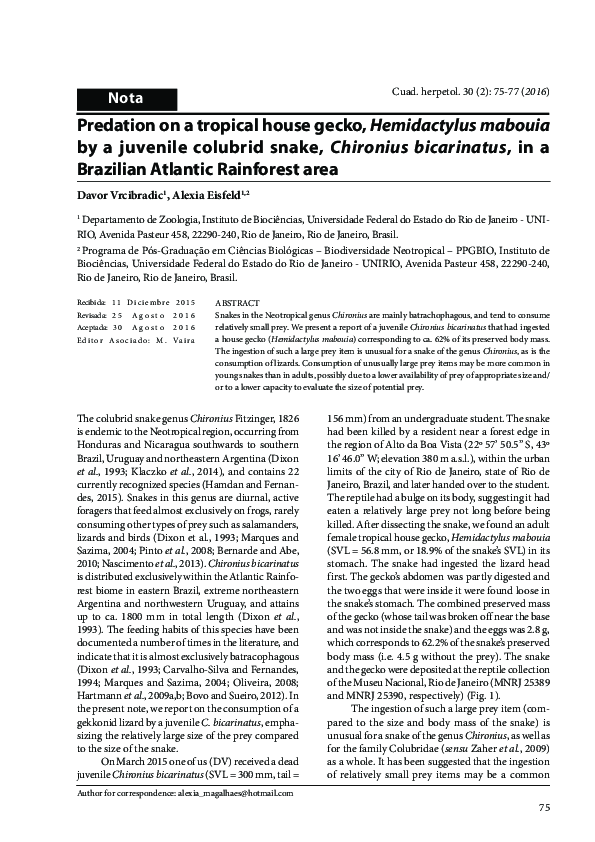 (PDF) Predation on a tropical house gecko, Hemidactylus mabouia by a ...