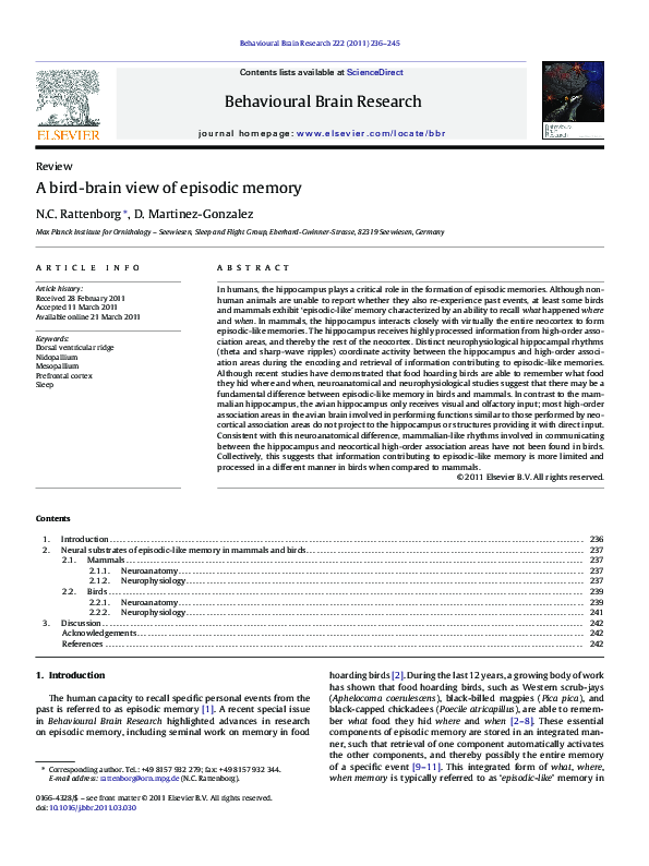 (PDF) A bird-brain view of episodic memory