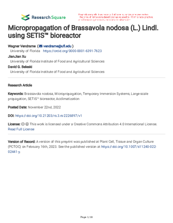 (PDF) Micropropagation of Brassavola nodosa (L.) Lindl. using SETIS ...