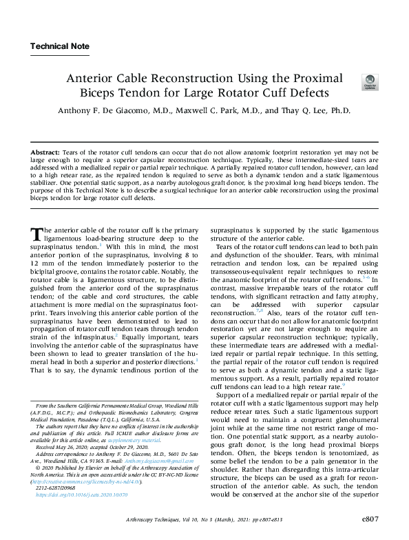 (PDF) Anterior Cable Reconstruction Using the Proximal Biceps Tendon ...