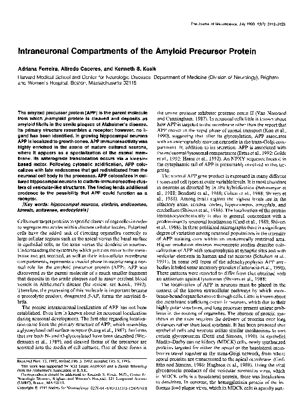 (PDF) Intraneuronal compartments of the amyloid precursor protein