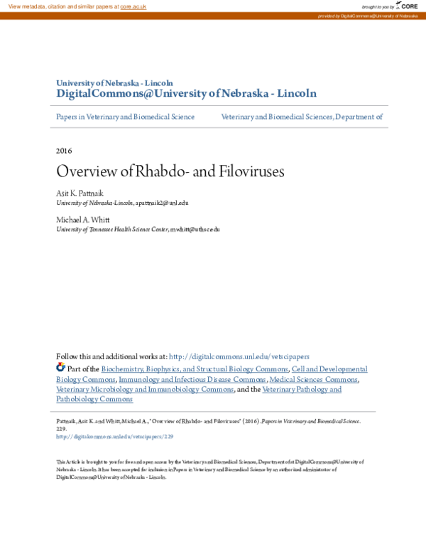 (PDF) Overview of Rhabdo- and Filoviruses
