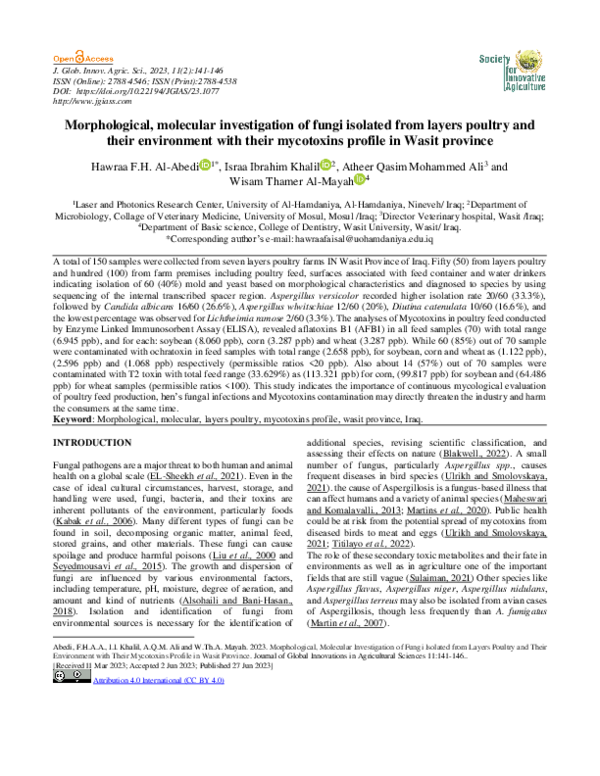 (PDF) Morphological molecular 2023
