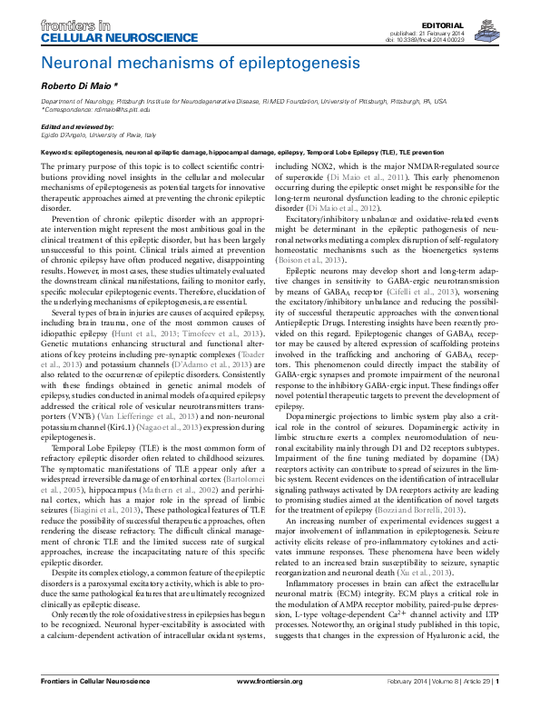 (PDF) Neuronal mechanisms of epileptogenesis | Roberto Di Maio - Academia.edu