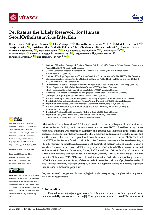 (PDF) Pet Rats as the Likely Reservoir for Human Seoul Orthohantavirus ...
