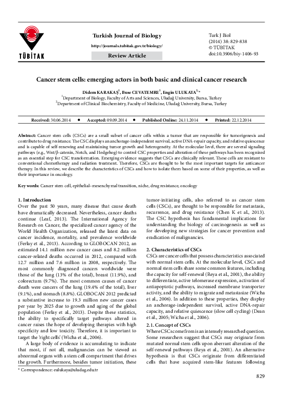 (PDF) Cancer stem cells: emerging actors in both basic and clinical ...