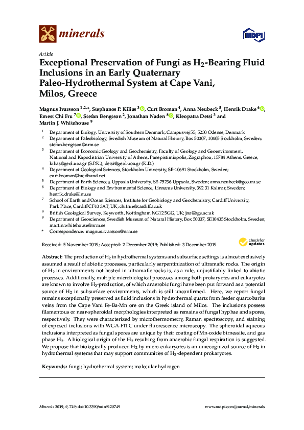 (PDF) Exceptional Preservation of Fungi as H2-Bearing Fluid Inclusions ...