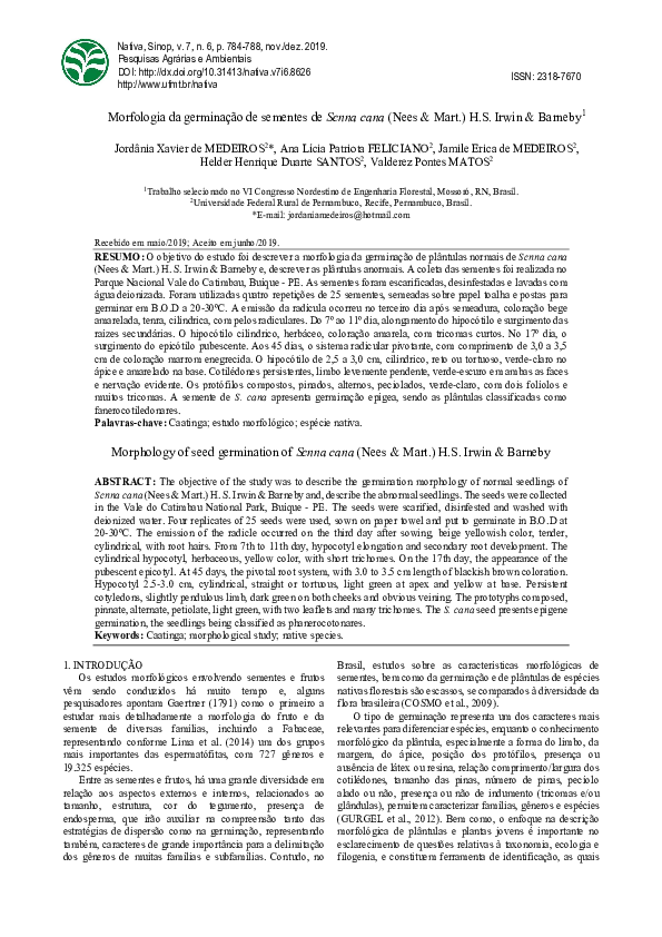 (PDF) MORFOLOGIA DA GERMINAÇÃO DE SEMENTES DE Senna cana (Nees & Mart ...