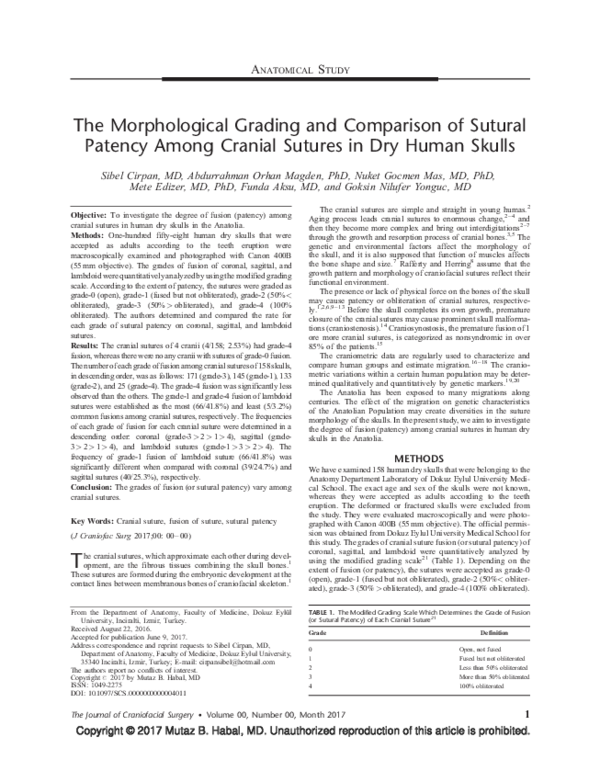 (PDF) The Morphological Grading and Comparison of Sutural Patency Among ...