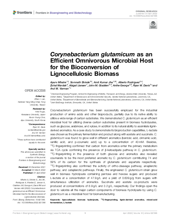 (PDF) Corynebacterium glutamicum as an Efficient Omnivorous Microbial ...