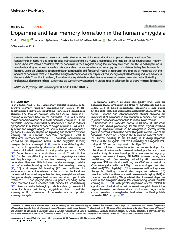 (PDF) Dopamine and fear memory formation in the human amygdala