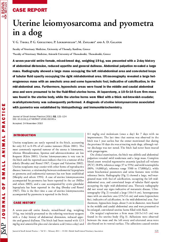 (PDF) Uterine leiomyosarcoma and pyometra in a dog