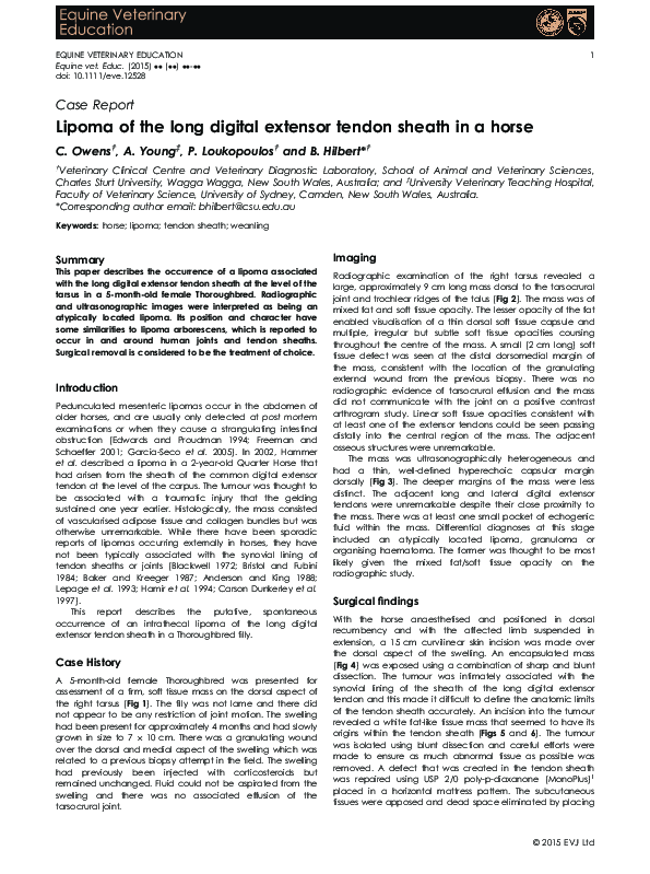 (PDF) Lipoma of the long digital extensor tendon sheath in a horse