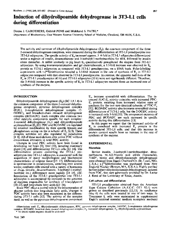 (PDF) Induction of dihydrolipoamide dehydrogenase in 3T3-L1 cells ...