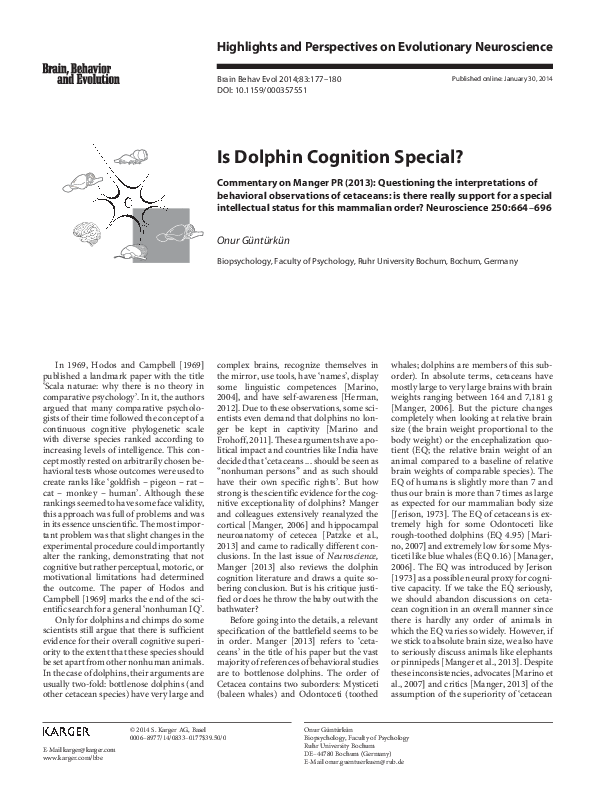 (PDF) Is Dolphin Cognition Special?