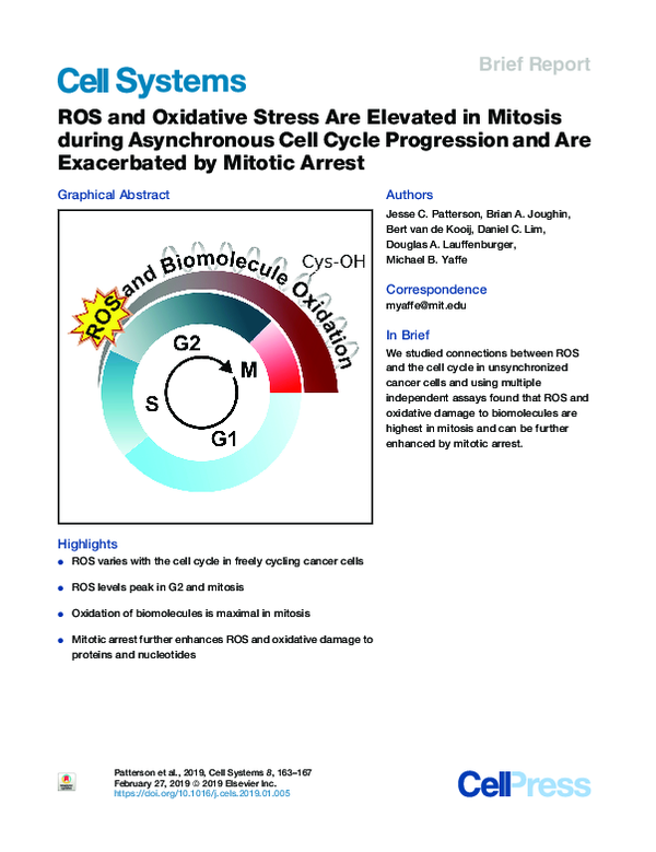 (PDF) ROS and Oxidative Stress Are Elevated in Mitosis during ...