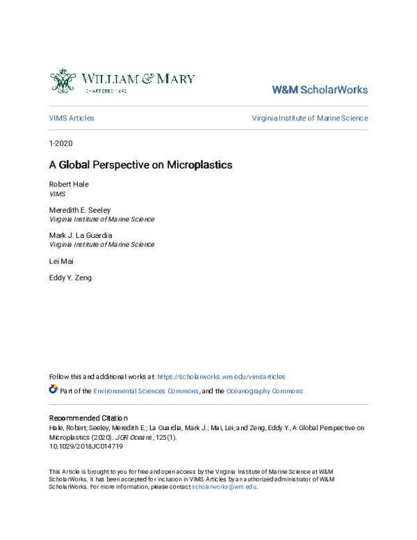 (PDF) A Global Perspective on Microplastics