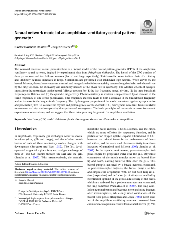 (PDF) Neural network model of an amphibian ventilatory central pattern generator
