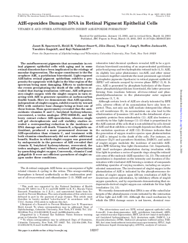(PDF) A2E-epoxides Damage DNA in Retinal Pigment Epithelial Cells