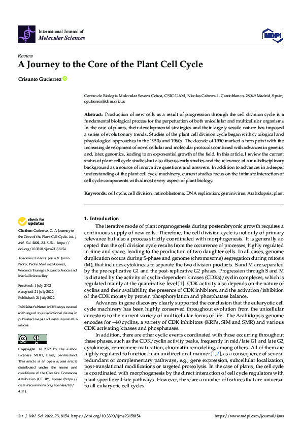 (PDF) A Journey to the Core of the Plant Cell Cycle