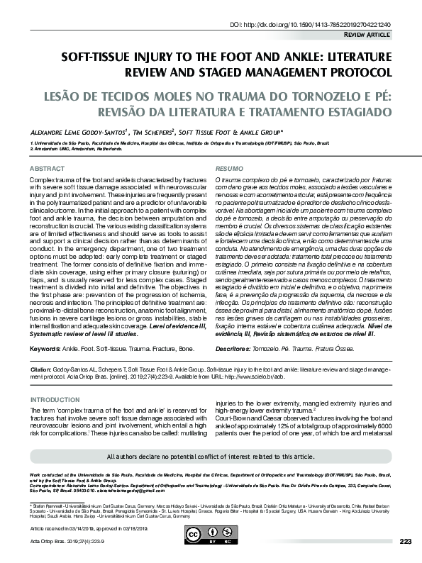 (PDF) Soft-Tissue Injury to the Foot and Ankle: Literature Review and ...