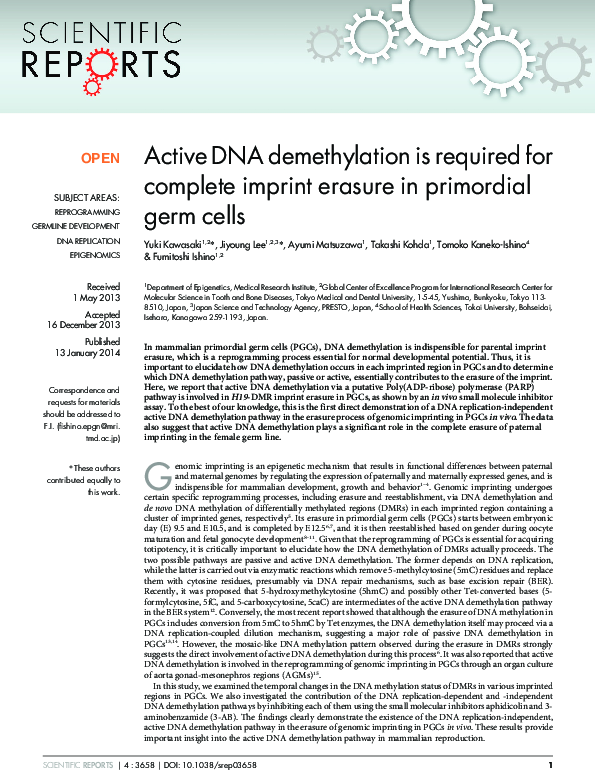 (PDF) Active DNA demethylation is required for complete imprint erasure ...