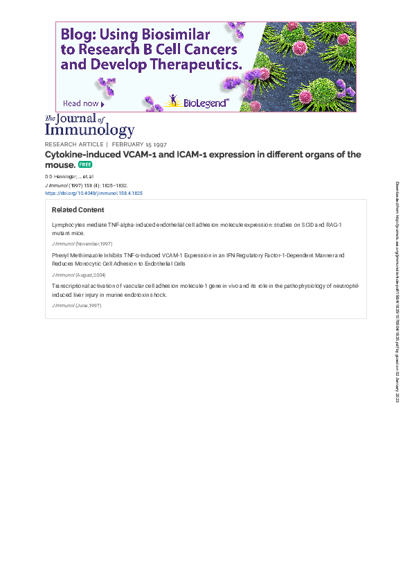 (PDF) Cytokine-induced VCAM-1 and ICAM-1 expression in different organs ...